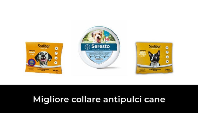 48 Migliore collare antipulci cane nel 2022: secondo gli esperti