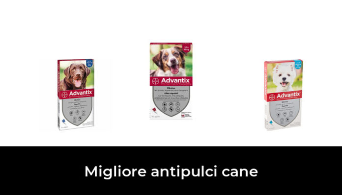 46 Migliore antipulci cane nel 2022: secondo gli esperti