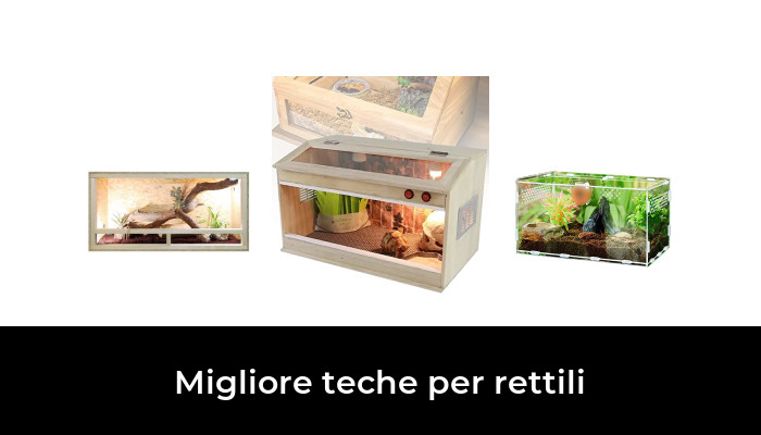47 Migliore teche per rettili nel 2022: secondo gli esperti