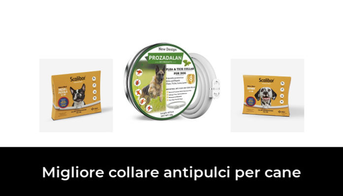 45 Migliore collare antipulci per cane nel 2024: secondo gli esperti