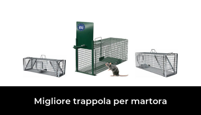 49 Migliore trappola per martora nel 2024: secondo gli esperti