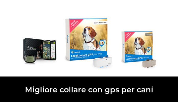 45 Migliore collare con gps per cani nel 2024: secondo gli esperti